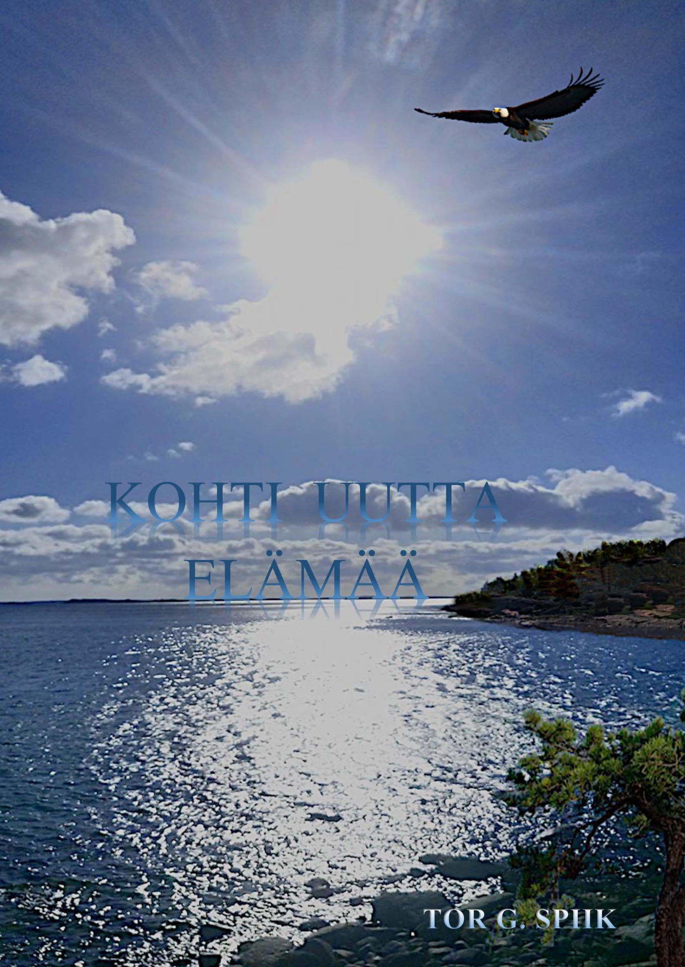 TGS :: Tor G. Spiik - terapeutti tavattavissa